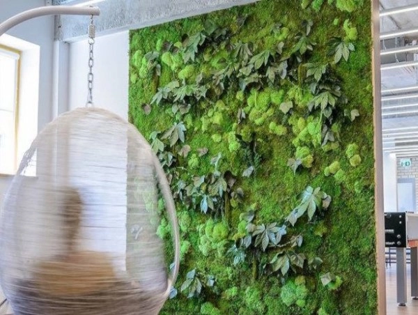 3 روش ساخت دیوار خزه‌ای در منزل | مجله خوگر